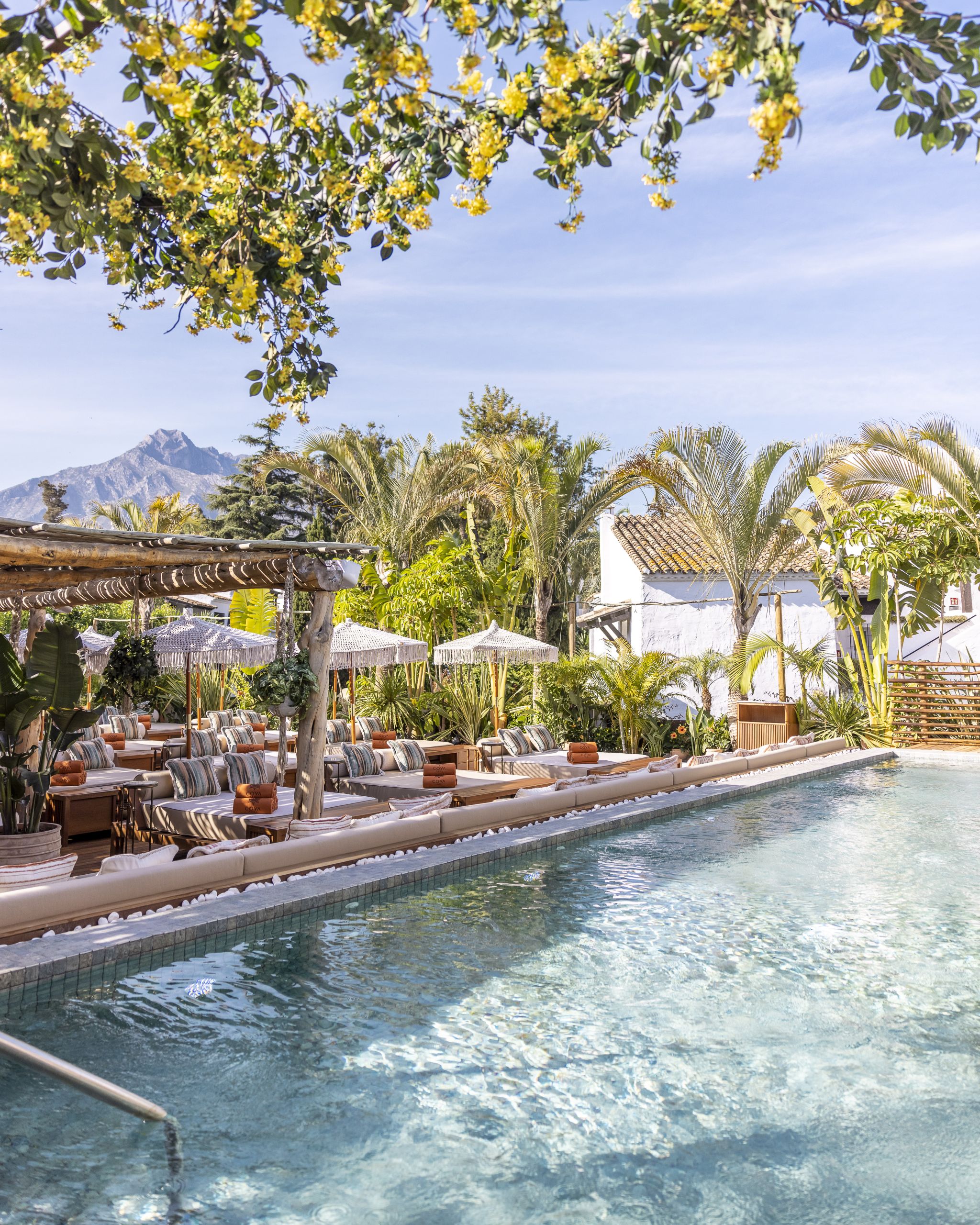 Nobu Hotel Marbella - Luxury Beach Resort